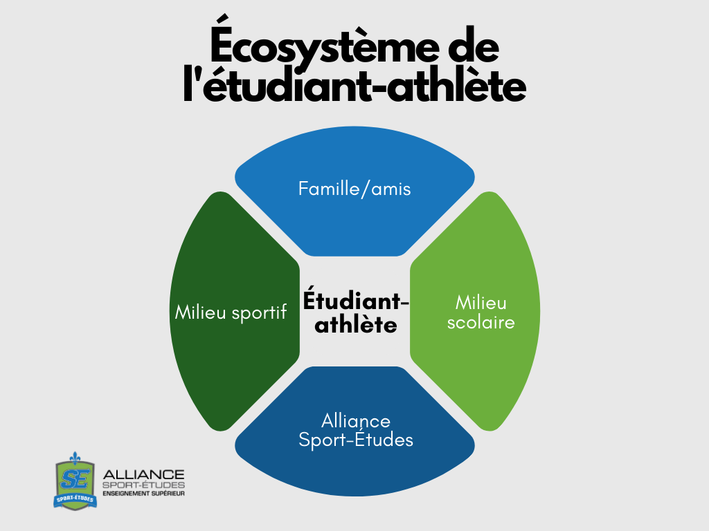 Écosystème de l’étudiant-athlète - La Base